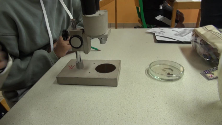 Clg Terrain Fayard Un cours de SVT - Numérique Éducatif